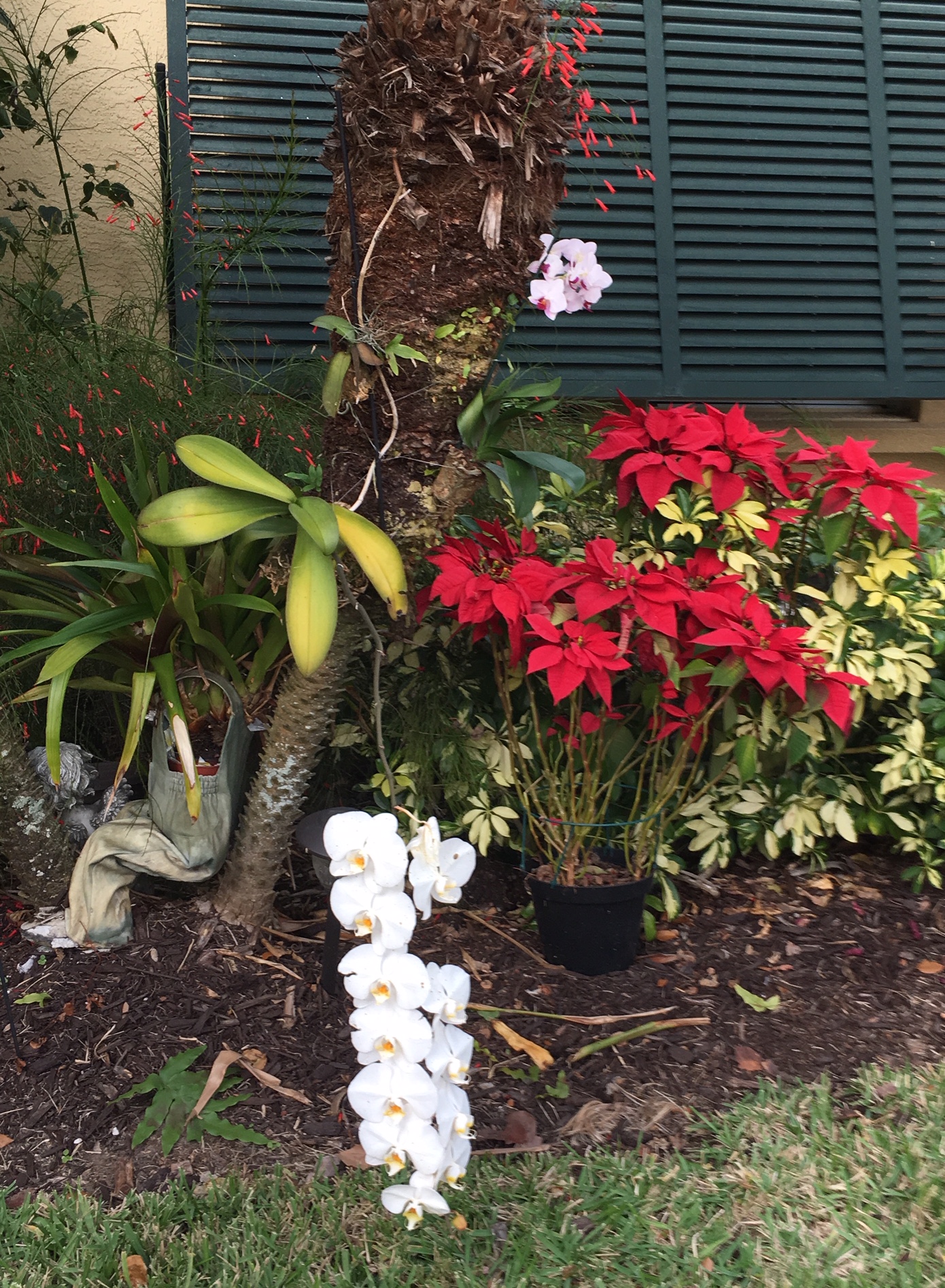 Orchid at 21795 Masters Cir – Masters Circle at Pelican Sound